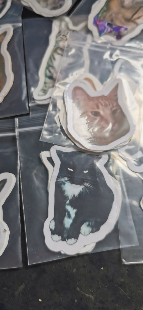 Stickers, set of 14 original photos of Cats, exclusive to Phoenix Desi ...